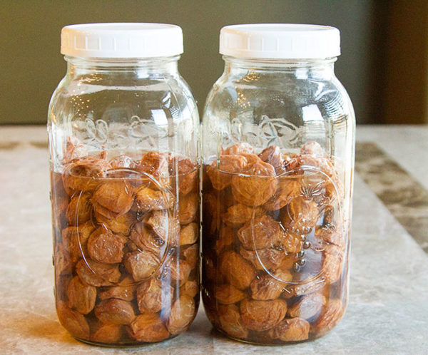 Umeboshi: Fall fruit of summer labor — La Fuji Mama